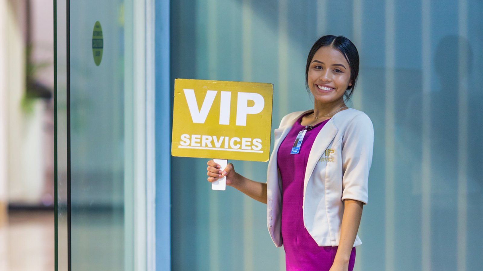 VIP Luxury Service - from the Airport of Puerto Vallarta PVR - Aero Movil